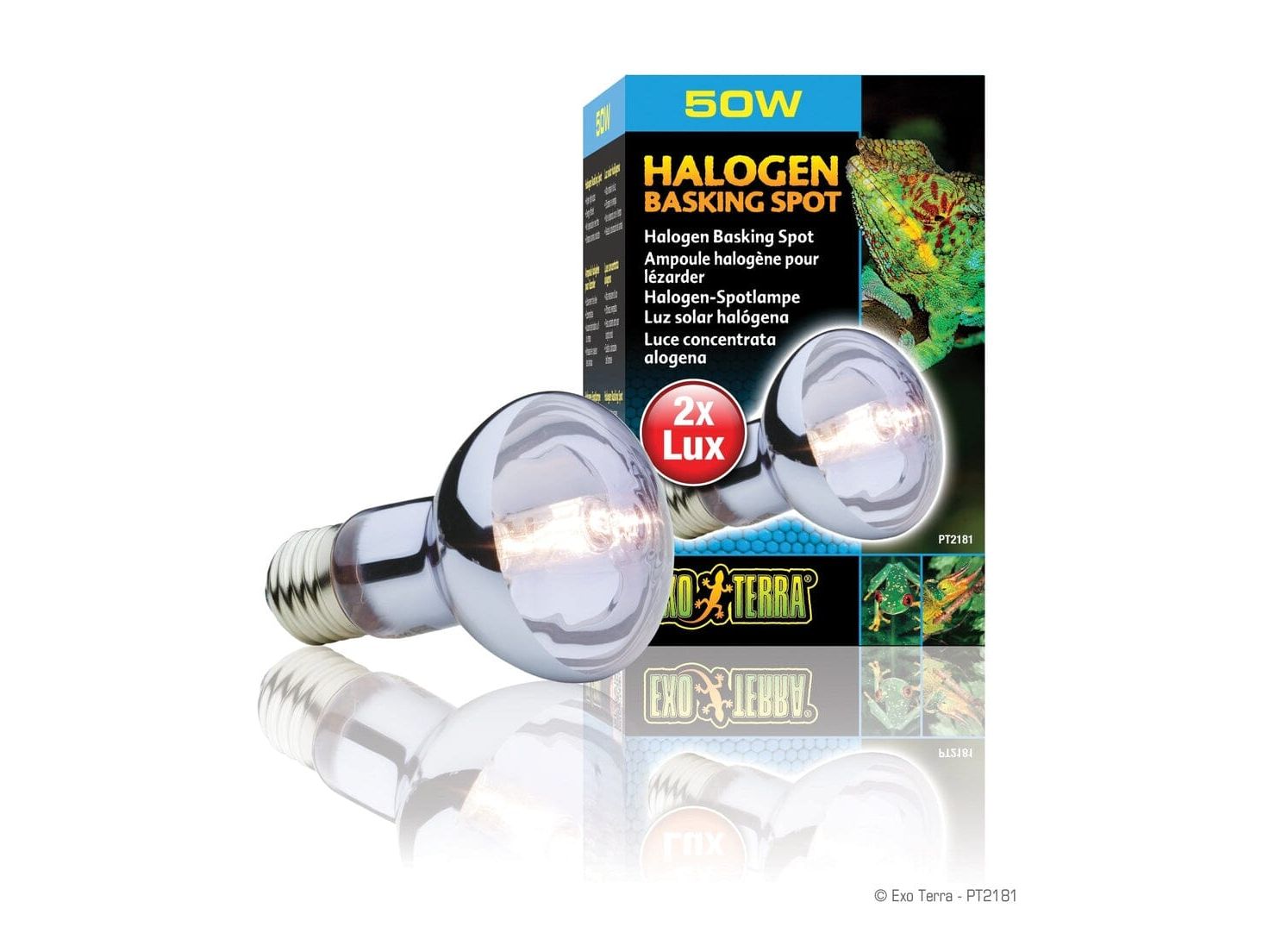 Exo Terra Halogen Basking Spot 50W - Reptile Heat Bulb | MorphMarket
