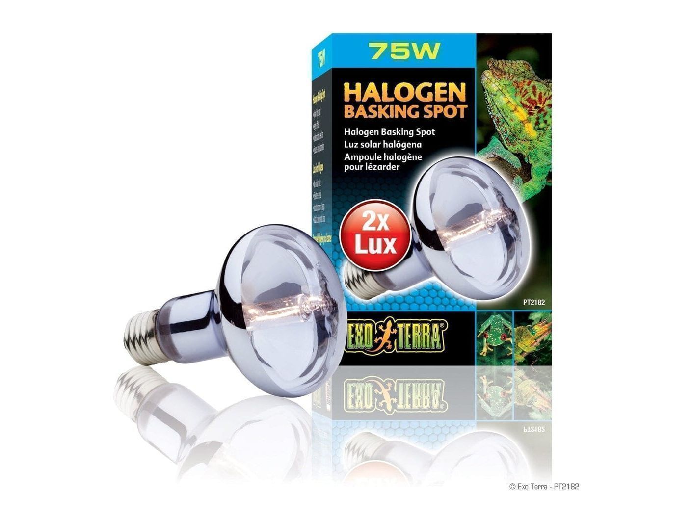 Exo Terra Halogen Basking Spot 75W - Reptile Heat Bulb | MorphMarket