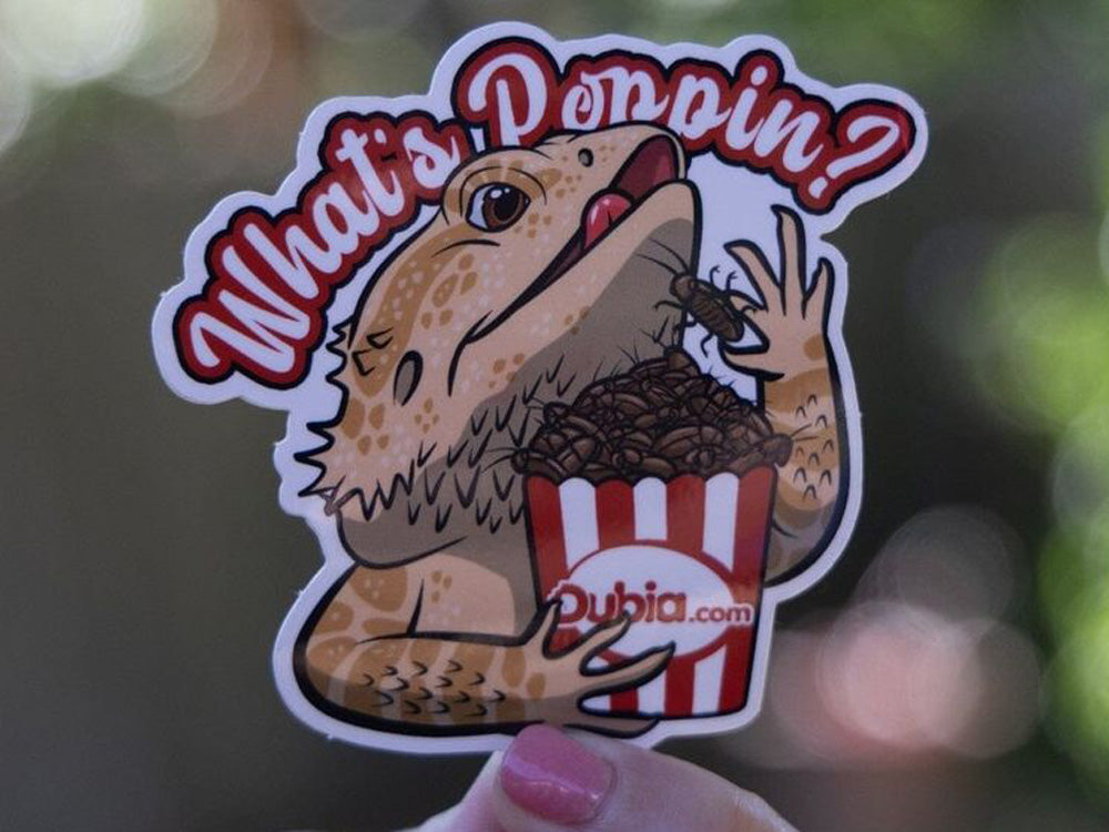 What's Poppin Sticker - Free Shipping on Select Items | MorphMarket